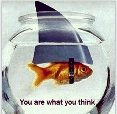 You Are What You Think You Are Goldfish Or Shark Cool Words