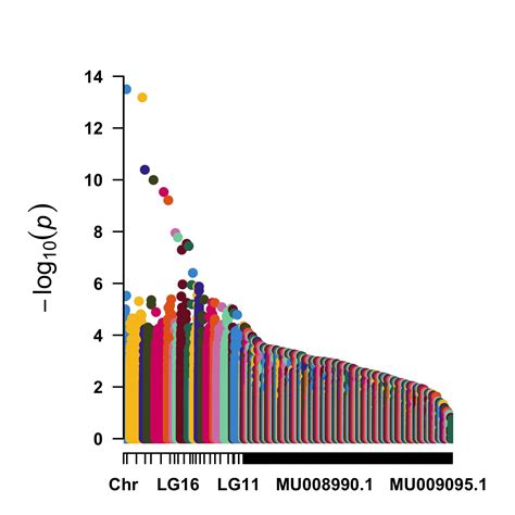 Chromosome Selection For Manhattan Plot Issue Yinlilin Cmplot