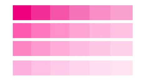 Explorando a Elegância do Rosa Paleta de Cores Inspiradora