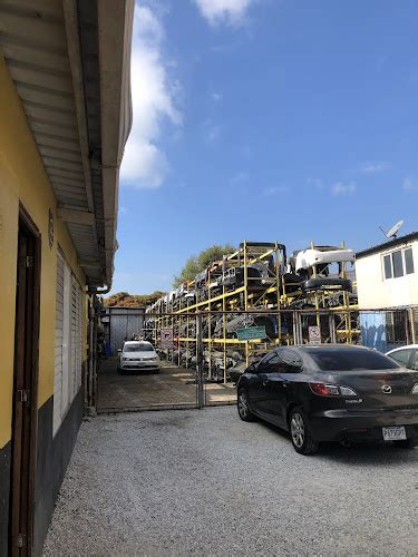 Arusa Directorio Miauto