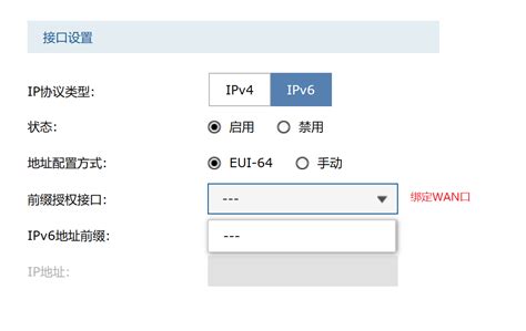 Ipv Slaacdhcpv S Blog