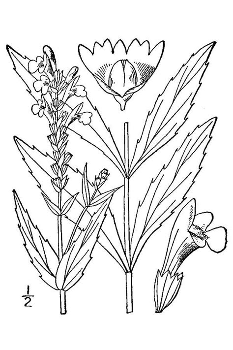 Nwpl Phpa10