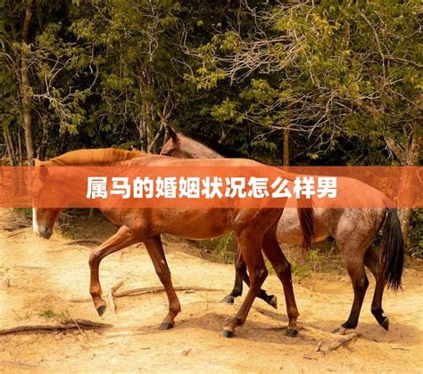 属马的婚姻状况怎么样男婚姻观念但需注意三点