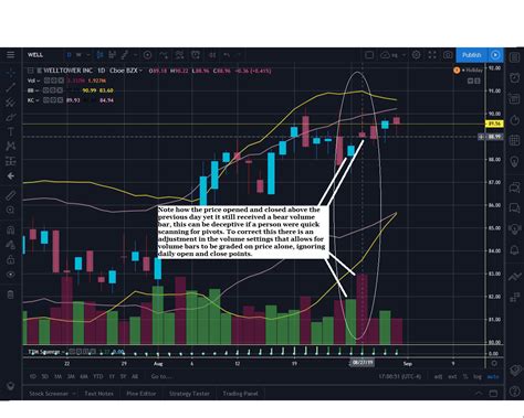A Pocket Pivot Is Stockaholics