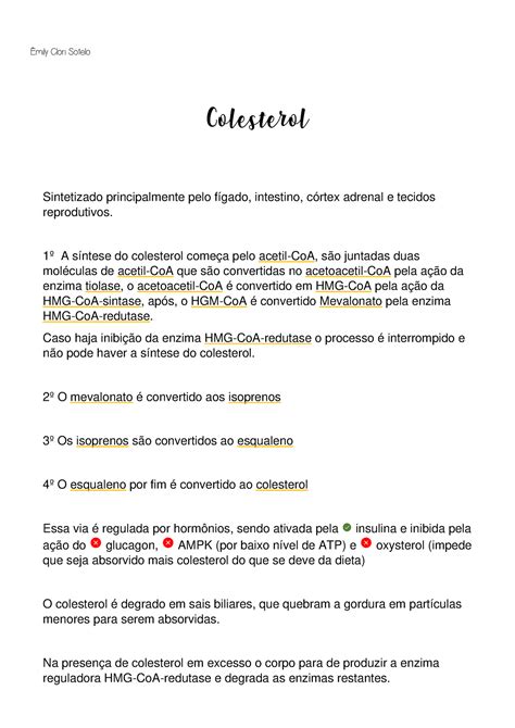 Colesterol Resumos Feitos A Partir Dos Slides Mostrados Em Aula