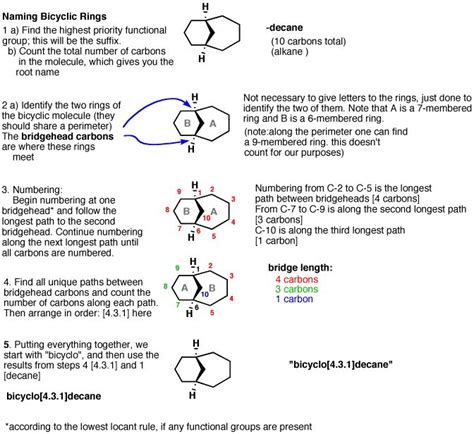 Naming Bicyclic Compounds Fused Bridged And Spiro Chemistry Notes