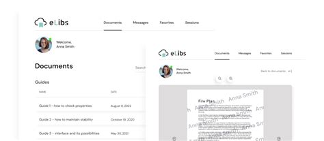 Secure Internal Document Viewing System Custom Software Development