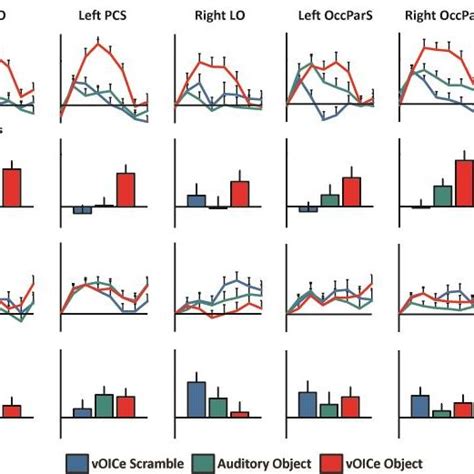 continued figure 1 the neural network of sensory substitution object