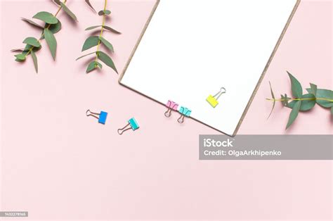 빈 종이가있는 평평한 클립 보드 파스텔 핑크 배경에 녹색 유칼립투스 가지가 있습니다 톱 뷰 여성 사무실 작업 공간 최소 모의 템플릿 개념 복사 공간 여성스러운 꽃 데스크탑