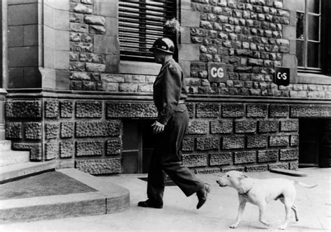 General Pattons Dog After His Death 1945 Rare Historical Photos