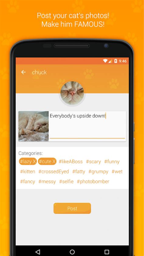 Hashcat Cats Social Network Apk For Android Download