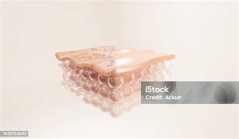 건조한 표피층과 피부 세포의 처진 피부를 감소시킨다 3d 렌더링 피부에 대한 스톡 사진 및 기타 이미지 피부 여러 층 3