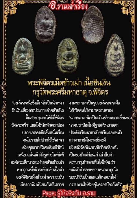 Pin On ของดีน่าซื้อ