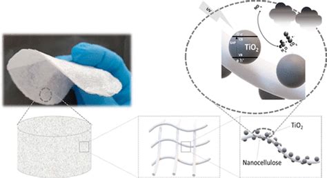 Изобрели способ бороться с одной из причин кислотных дождей с помощью сельскохозяйственных