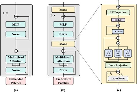 Figure 2 From Tuning A Sam Based Model With Multicognitive Visual