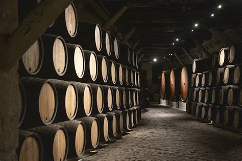 Caves do vinho do Porto estas são as 10 melhores experiências DELTATUR