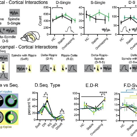 Oscillation Interactions A Cortical Interactions Oscillations Can Be
