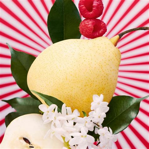 Fairy Love By Escada Reviews And Perfume Facts