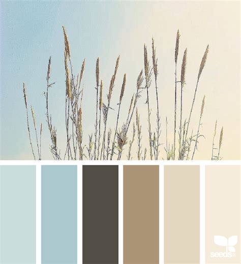 Grass Color Palette 75 Photo