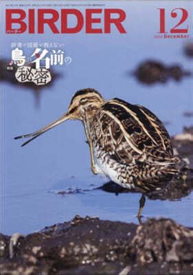 Birder