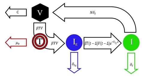 Flow Chart Of Model Download Scientific Diagram