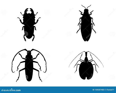 Set Of Insect Silouettes Isolated On White Stock Illustration