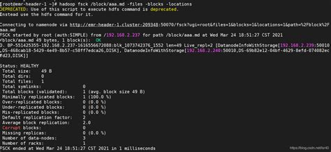 Hadoophdfs Hdfs Debug Recoverlease Csdn