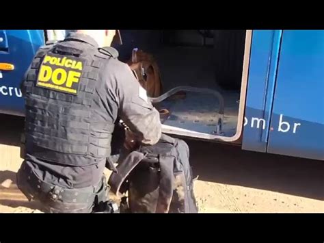 Amambai Passageiro de ônibus que seguia droga para Campo Grande é