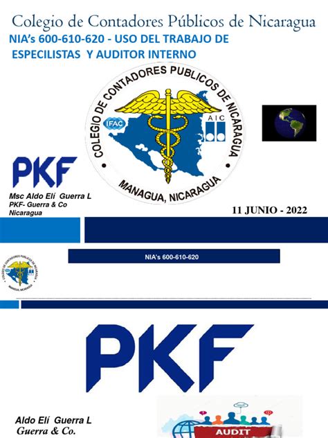 Nia 600 Pdf Auditoría Contador