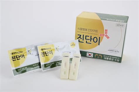 원예작물 바이러스 의심되면 바로 진단해 보세요