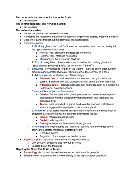 Psych Lecture Chpt The Endocrine System The Nerve Cells And Communication In The Brain In