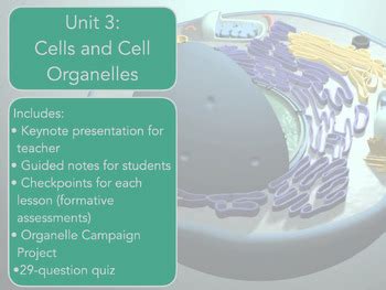 Unit 3 Cells And Cell Organelles By Smigielski Biology TPT
