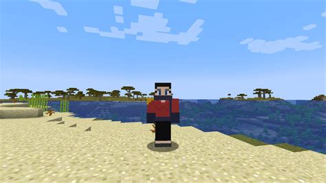Minecraft Elizabeth By Golcat By Toainsully On Deviantart