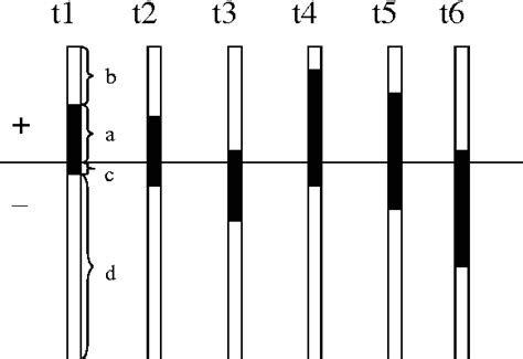 Figure 1 From Supervised And Traditional Term Weighting Methods For