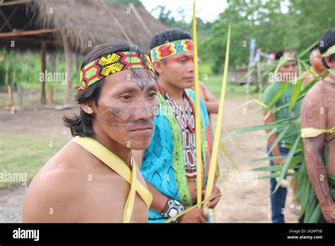 Indigenous People Huni Kuin Men Decorated With Plant Leaves During A