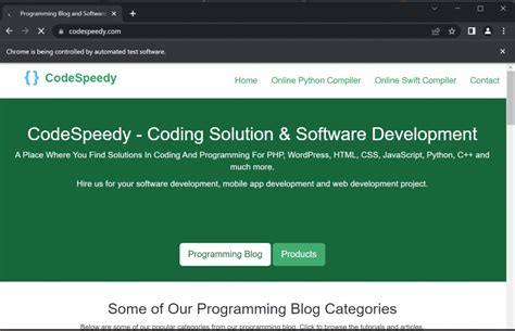 Close The Browser Window At The End Of A Selenium Test Program In Python