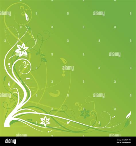 Vector Background With Swirls Floral Elements And Space For Your Text