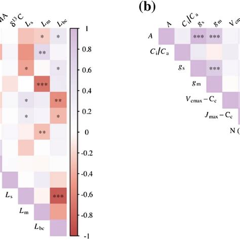 Partial Correlations Between Leaf Photosynthetic Parameters A Cica Download Scientific