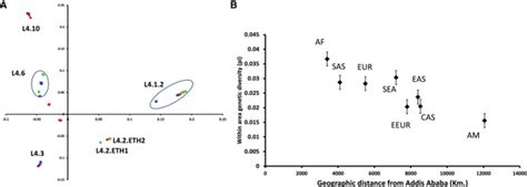 Principal Component Analysis Using The Snp Matrices Derived From