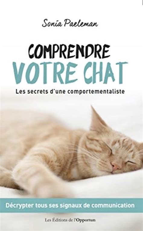 Pr Parer Son Arriv E Chatterie De La Nuit Des Temps