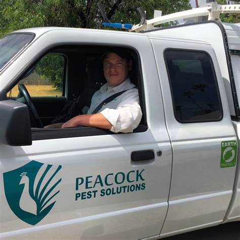 Peacock Pest Solutions
