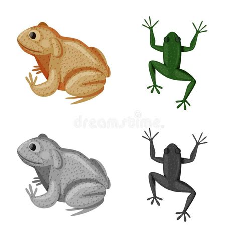 Vector Illustration Of Wildlife And Bog Icon Collection Of Wildlife