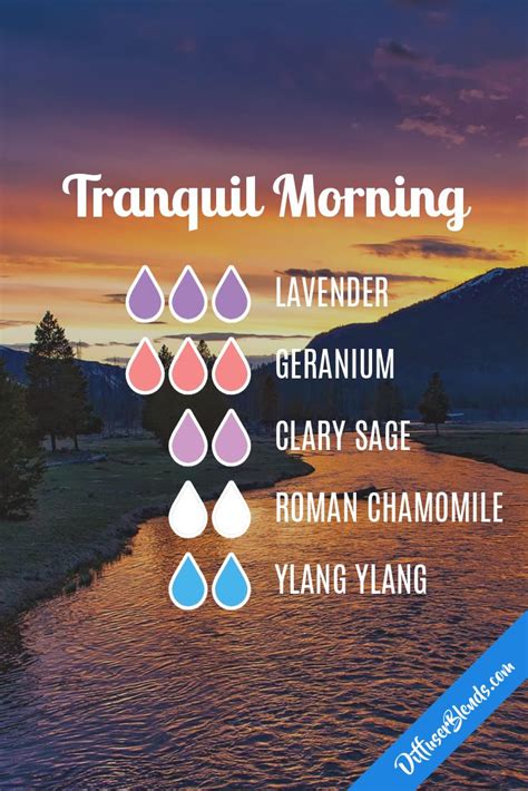 Tranquil Morning Geranium Clary Sage Chamomile Essential Oil