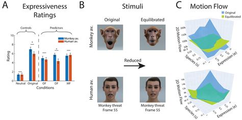 Figures And Data In Shape Invariant Encoding Of Dynamic Primate Facial