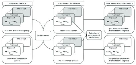 Schematic Representation Of Participant Clustering And Exclusion Download Scientific Diagram