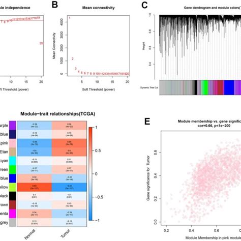 Identification Of Co Expression Modules For Lncrnasmrnas Based On Download Scientific Diagram