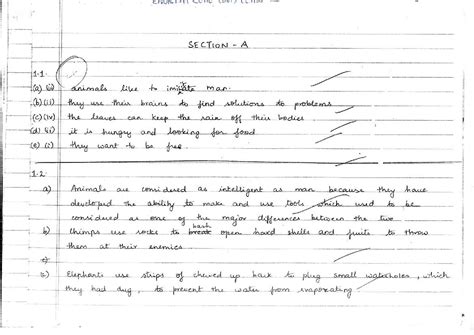 Cbse Class Xii Board Exam Model Answer Sheet For Biology Sexiezpix