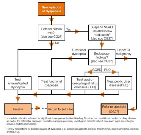 Endoscopy In Dyspepsia Guidelines At Elizabeth Simson Blog