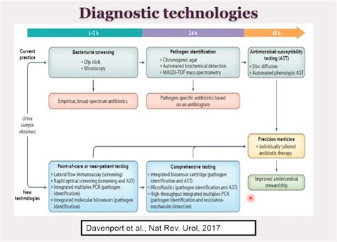 What Is The Diagnosis Code For Uti At Colin Fleming Blog