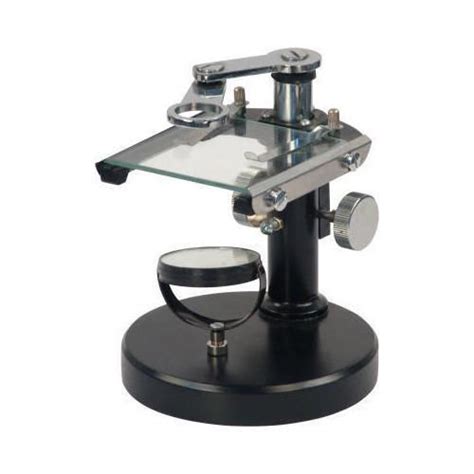 Dissecting Microscope Application View Three Dimensional Objects And